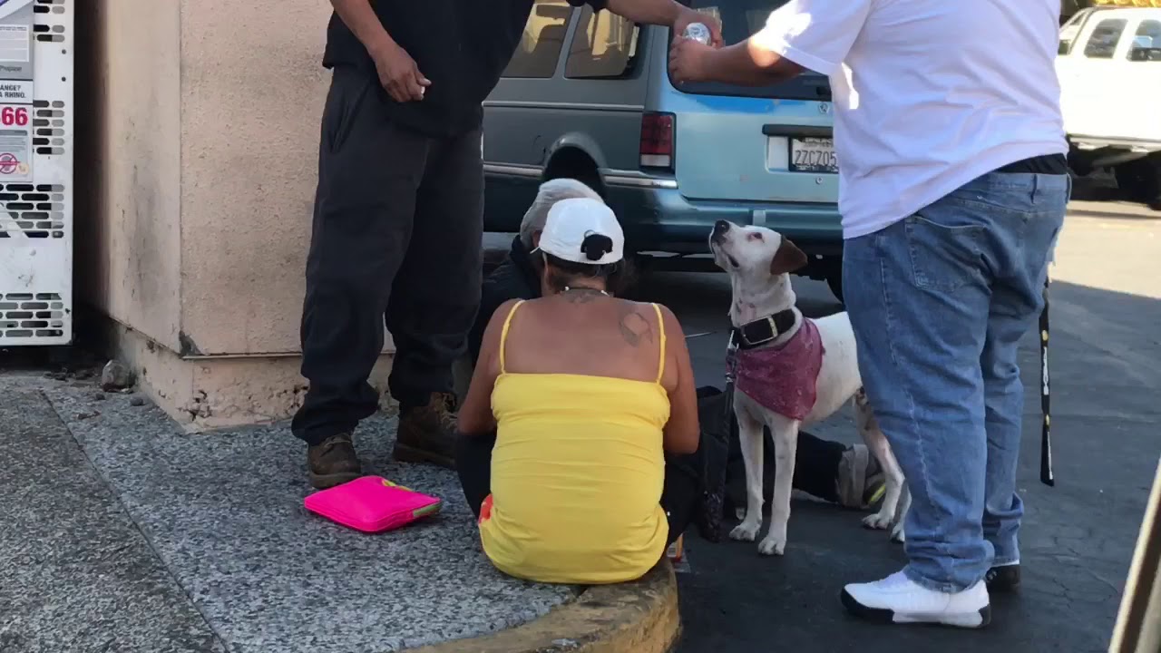 Helping homeless people/dog ** emotional** - YouTube