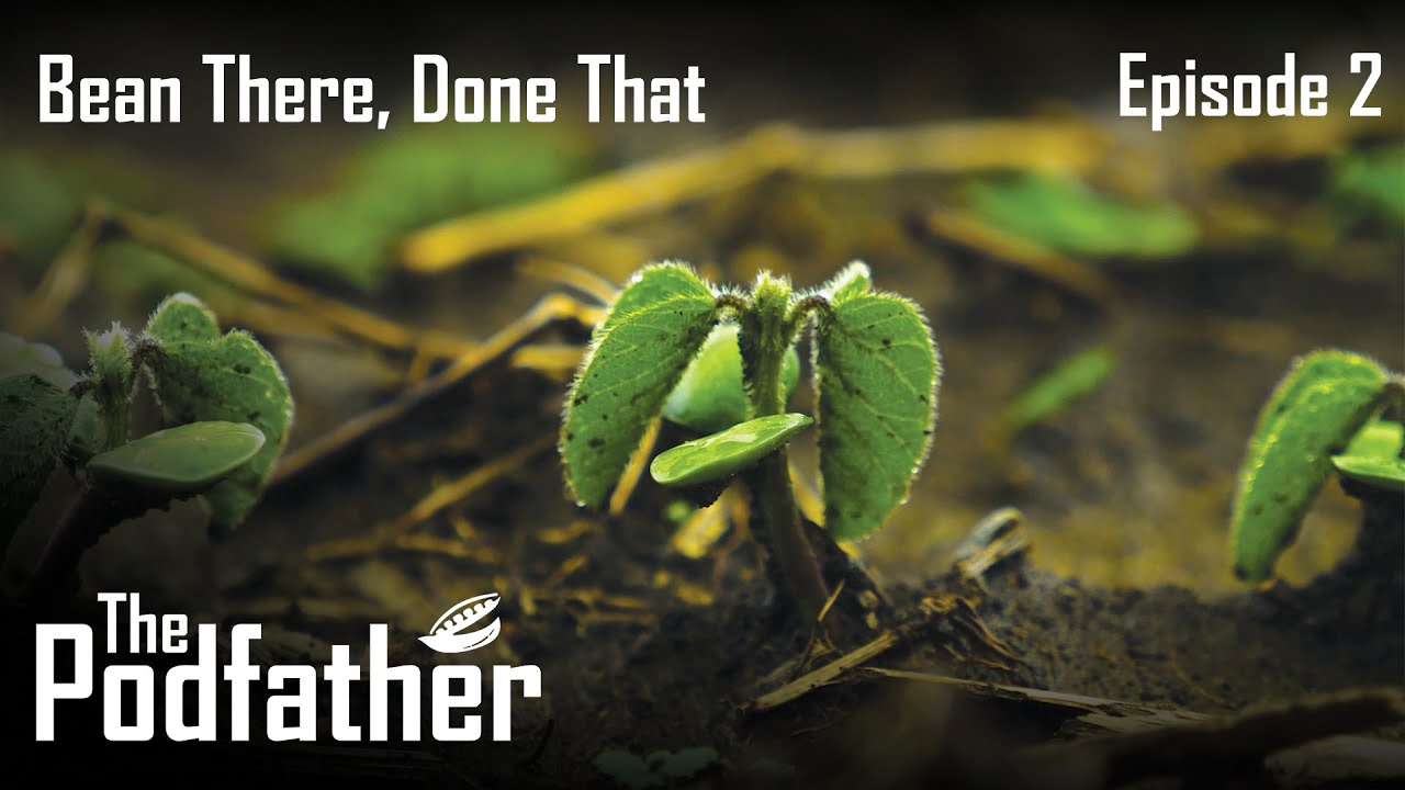The Podfather | 102 | Bean There, Done That - YouTube
