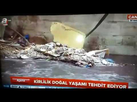 Mimar sinan eseri yok olmak üzere,derleri hiç sormayın
