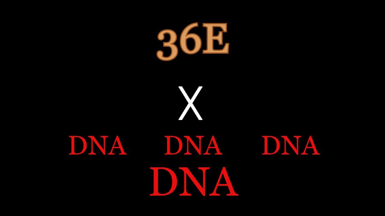 Built Different | 36e DNA Edit 🇫🇷 - YouTube