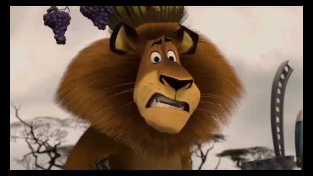 Madagascar 2 Alex e mart brigam. (Cena triste) :( - YouTube