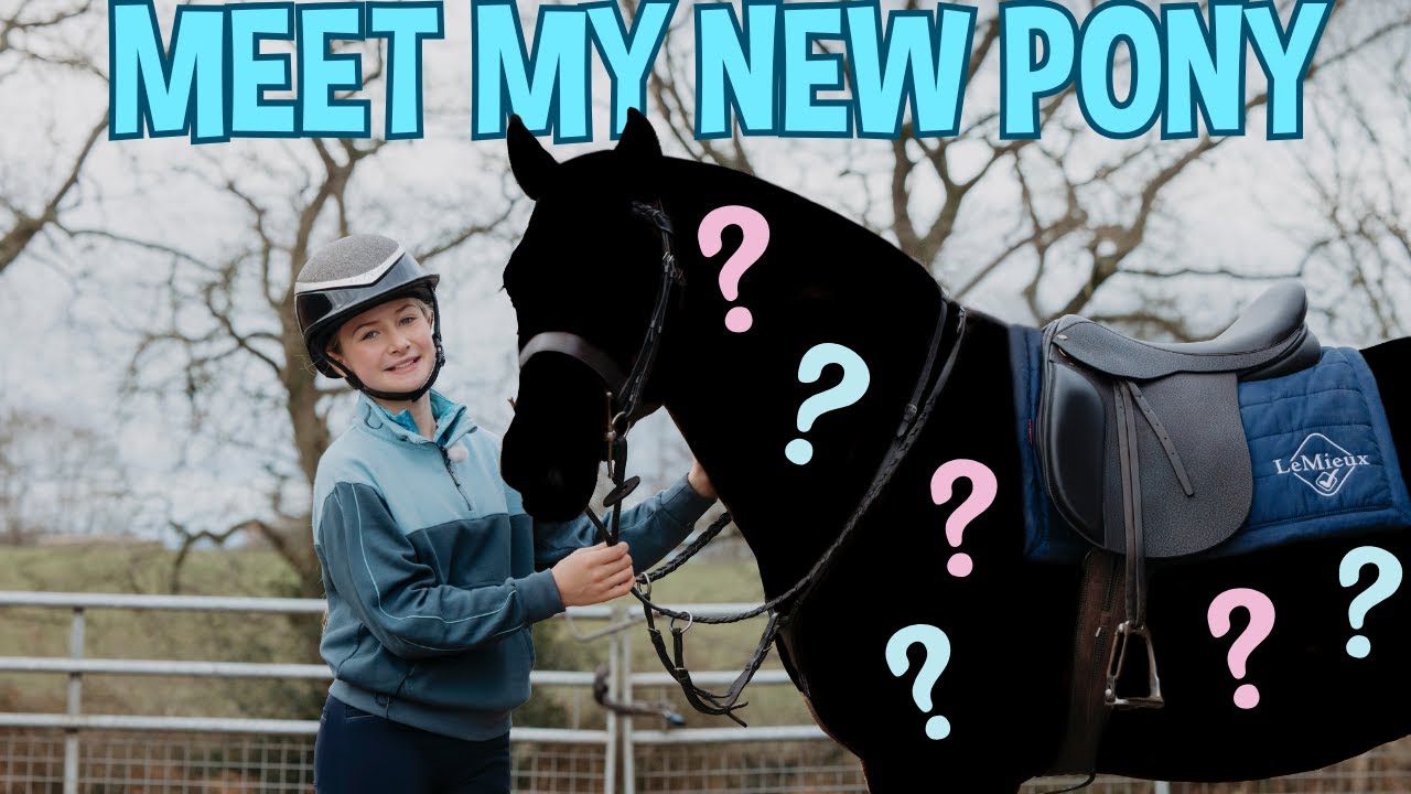MEET MY NEW PONY! - YouTube