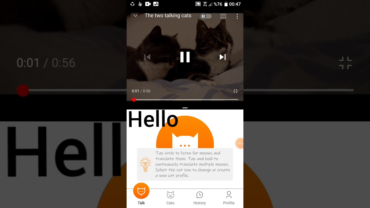 Meow Talk - Meow Talk App - Talking Cats - YouTube