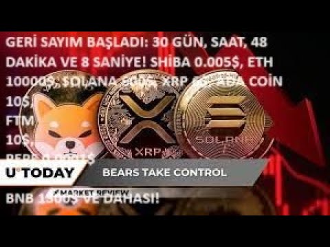 30 GÜN, 7 SAAT, 48 DK, 8 SN: SHİB 0.005$, DOGE 10$, SOL 600$, XRP 6$, ADA VE FTM 10$ VE PEPE 0. ...