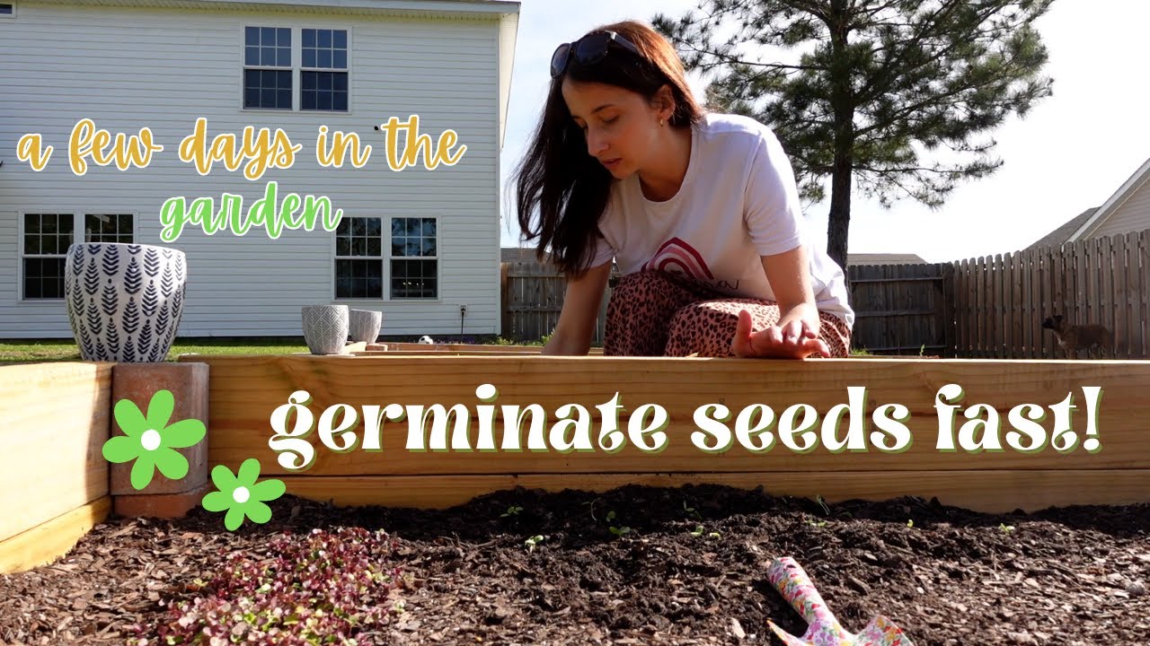 HOW I GOT MY SEEDS TO GROW FAST |SPRING GARDEN PLANTING - YouTube