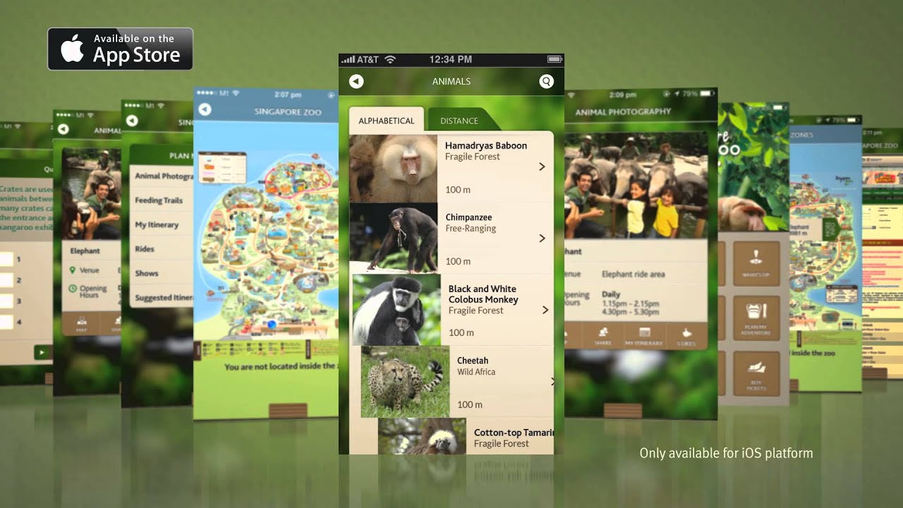 Introducing the Official Singapore Zoo iPhone App - YouTube