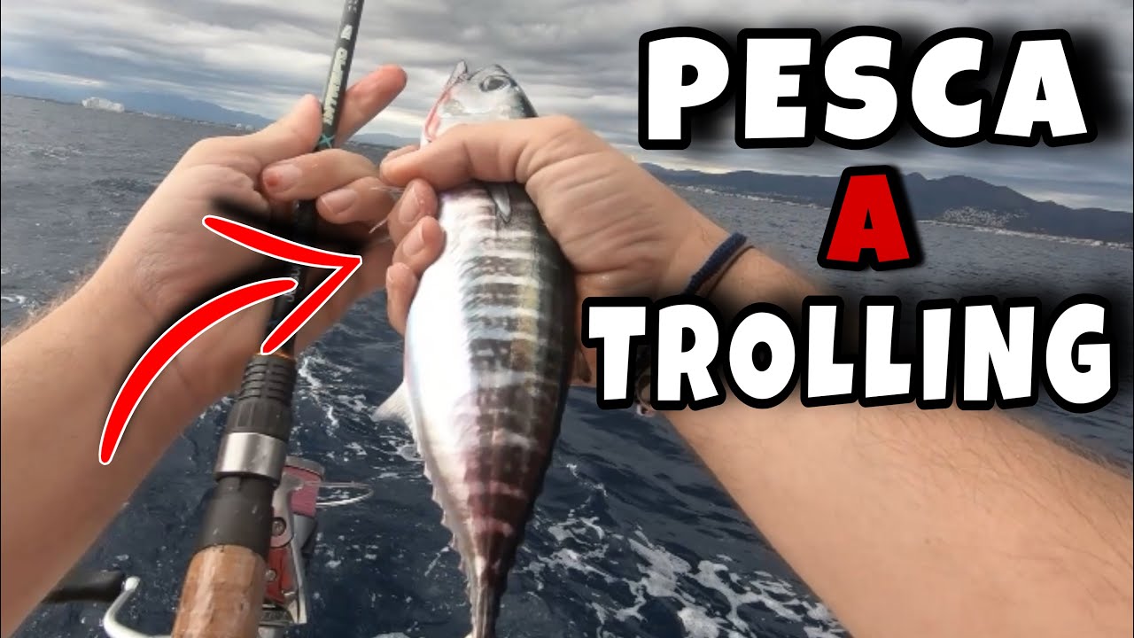 PESCA a TROLLING o CURRICÁN con JIGS lo MÁS efectivo - YouTube