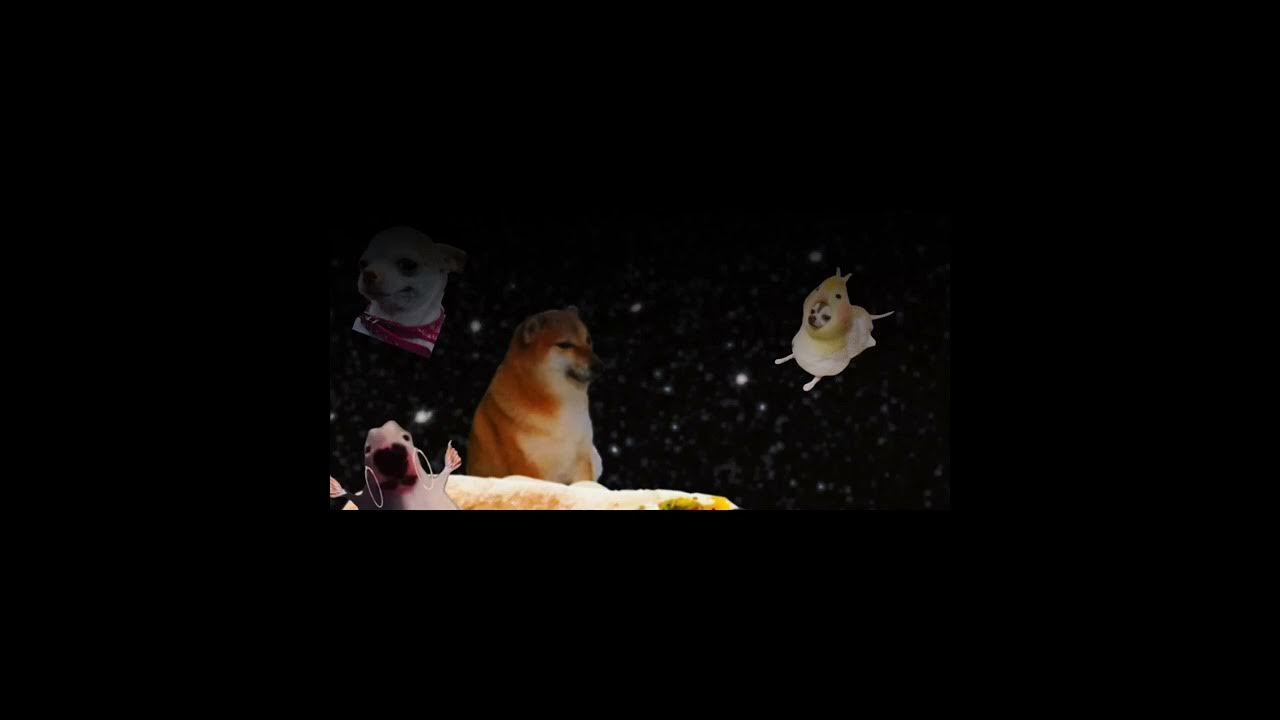 Basement Jaxx Wheres Your Head At Rooty Youtube
