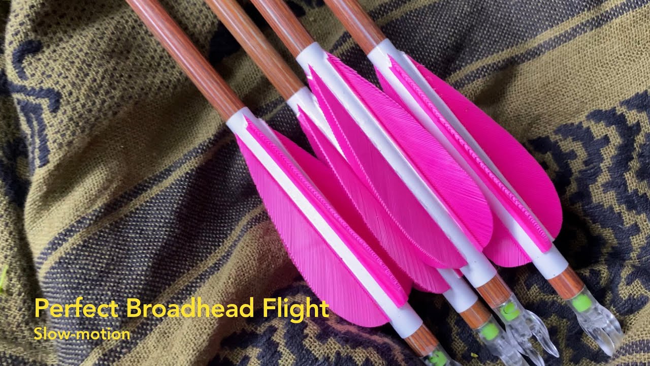 Perfect Arrow Flight with a Broadhead in Slow-mo - YouTube