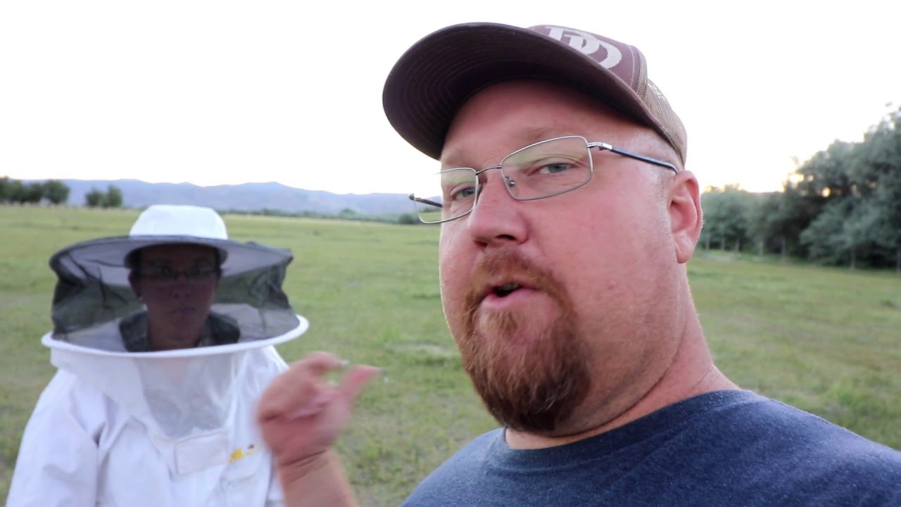 HELPING SAVE THE HOMELESS BEES PART 3 - YouTube