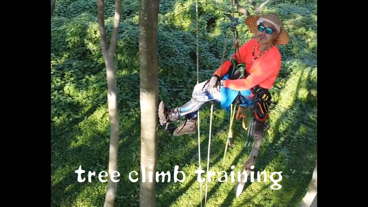 tree climb training - YouTube