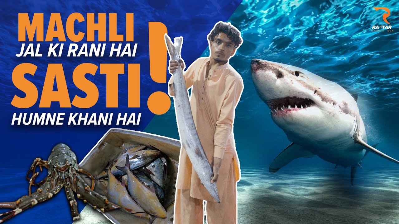 Karachi's Best Fish Market |Fishery Aaen Sasti Or Achi Machli Lekar ...