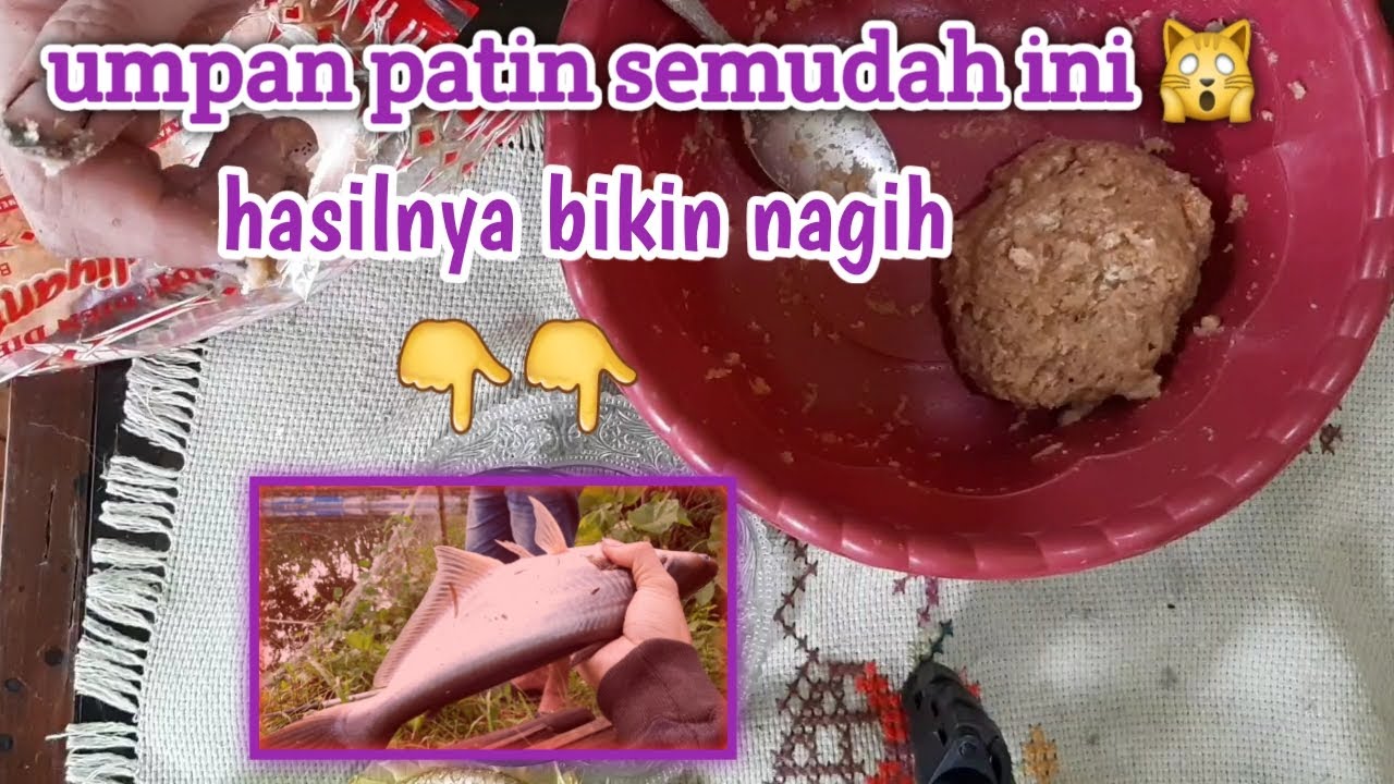 Racikan umpan ikan patin ⁉️ umpan jitu untuk ikan patin #umpanjitu ...