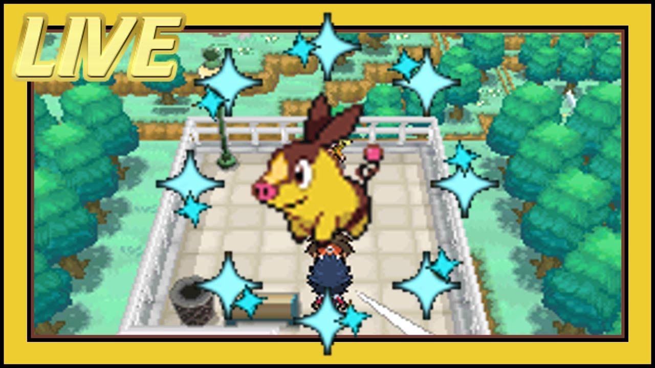 [WSHC #1] LIVE REACTION! Shiny Tepig ♀ After 8,056 SRs [Black 2] - YouTube