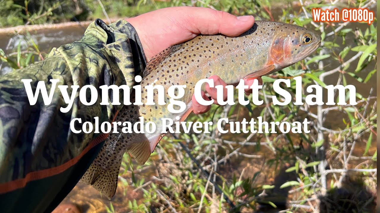 Wyoming Cutt Slam: Episode 1 - YouTube