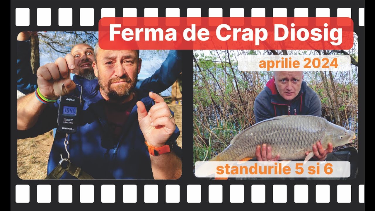 Niste Baieti Ferma de Crap Diosig 2024 locurile 5 si 6 - YouTube