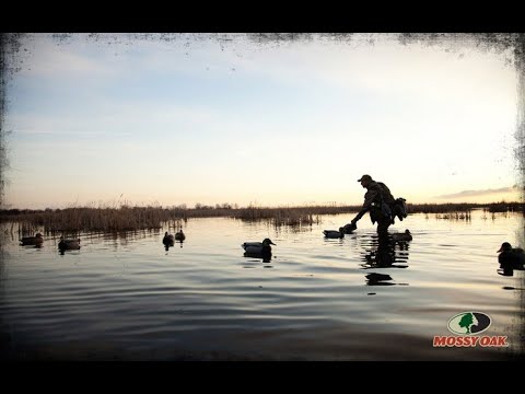 DUCK HUNTING CLUB SUISUN MARSH CALIFORNIA 220 ACRES - YouTube