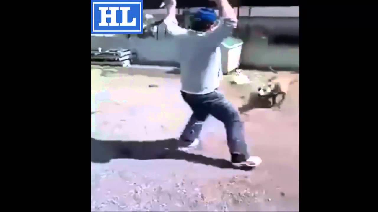 Tổng hợp những trò chơi ngu nhất thế giới - YouTube