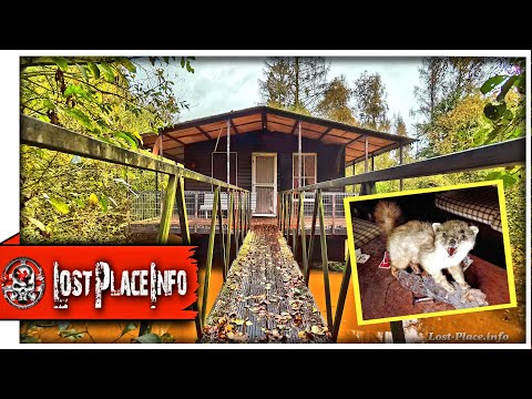 Lost Place / The Hunting Lodge by the Lake / Crocodiles ???