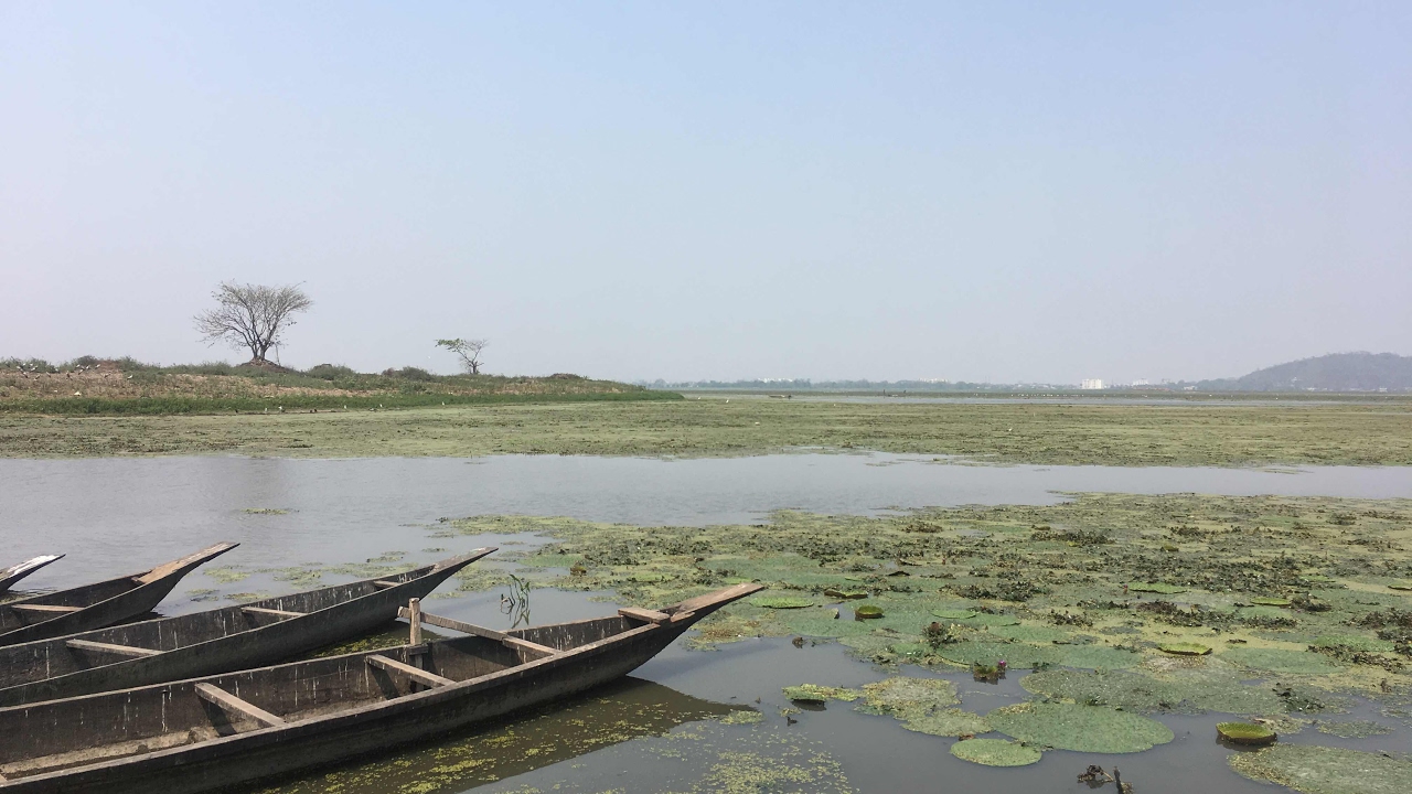 Deepor Bill, Assam - YouTube