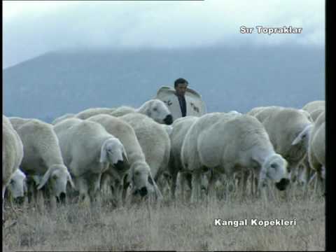 Sır Topraklar | 3.Bölüm