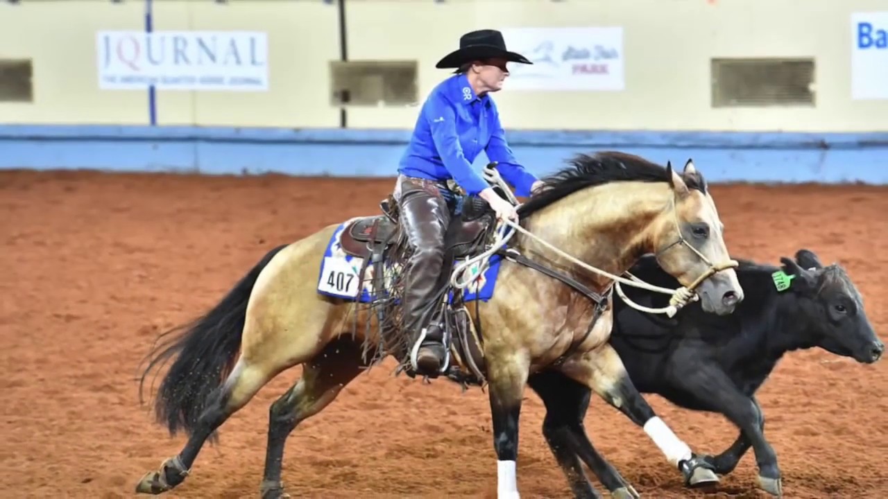 A Judge's Perspective 2017 AQHA World Jr. WCH - YouTube