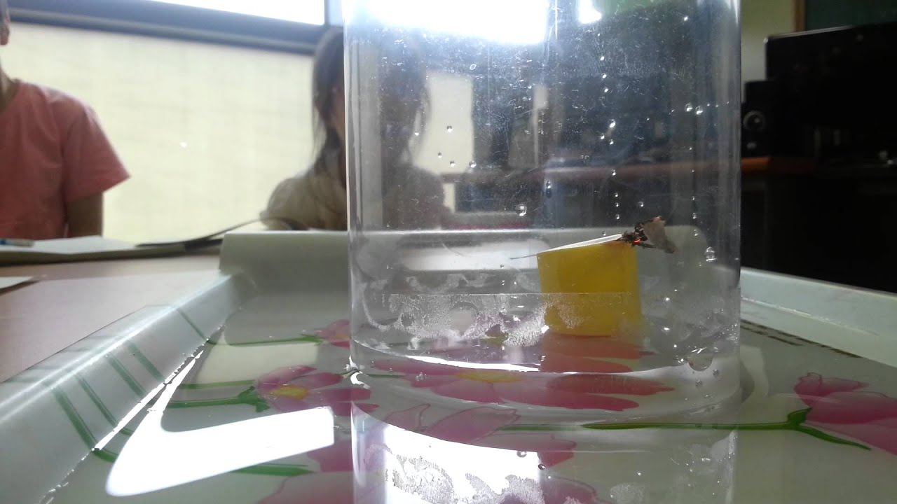 Science Experiment : Water, fire and cup - YouTube