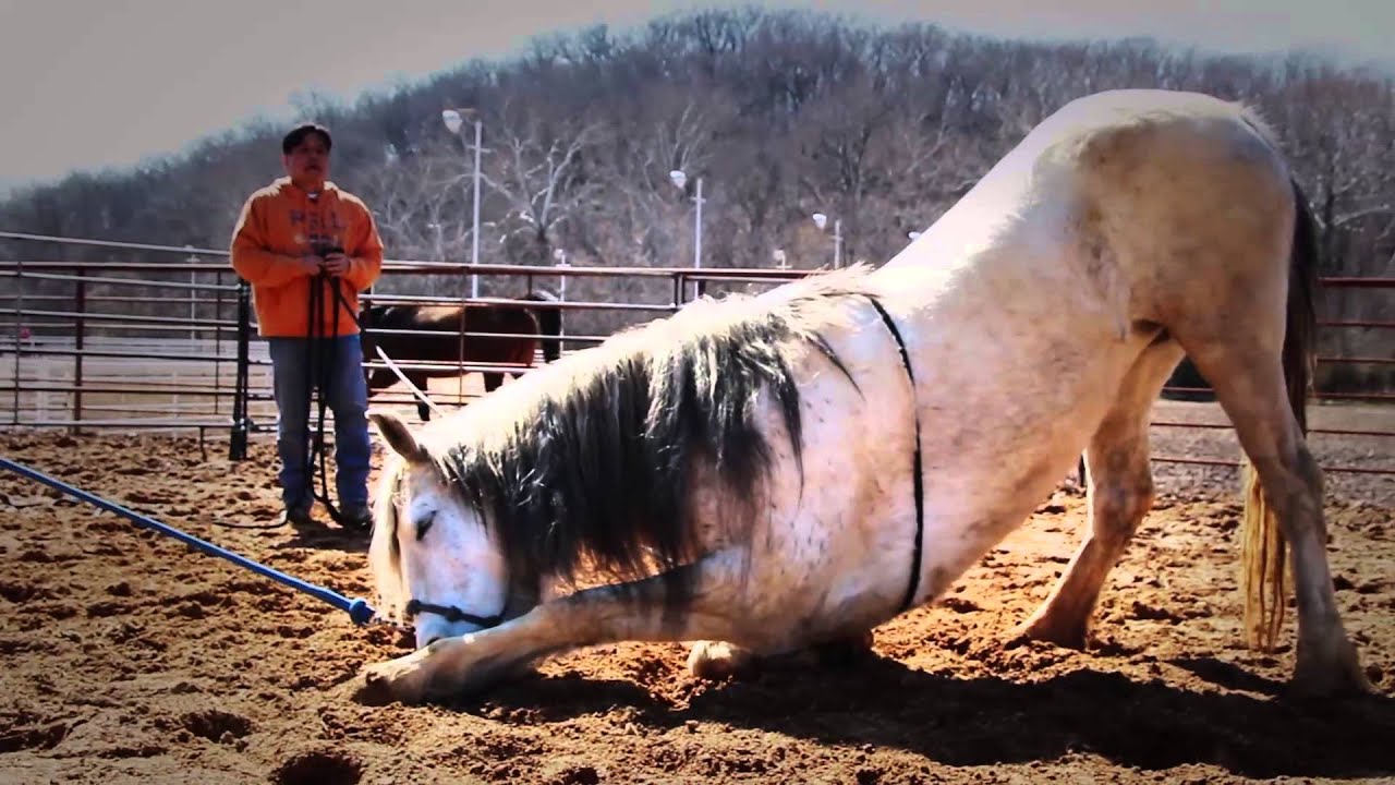 Chris Estrada Day 8 lay down Extreme Mustang Makeover St Louis MO - YouTube
