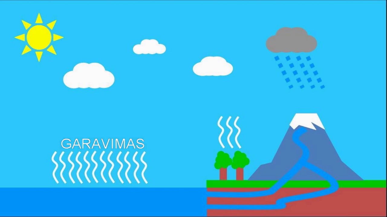 13 aprašo įrašas. Vandens apytakos rato tyrimas - YouTube