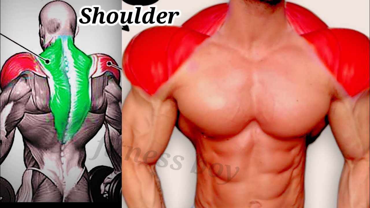 Shoulder Workout at Gym for Men to Build Big Shoulder - YouTube