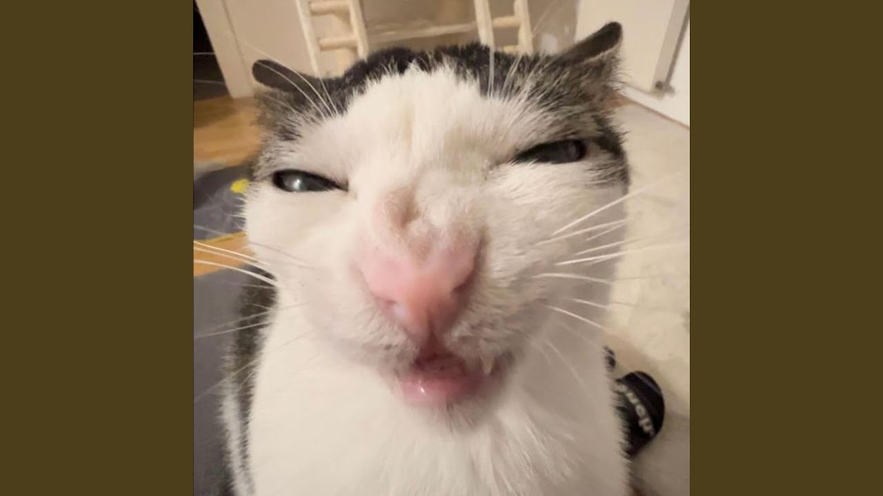 BAD BOY (WAG KANANG MAGALIT) (feat. SKUSTA) - Gehro: Song Lyrics, Music ...