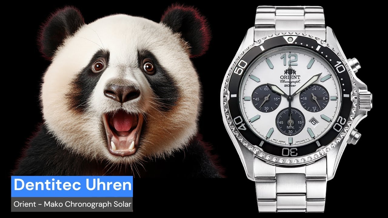 ORIENT - Mako - Chronograph - ein PANDA? Diver / Taucheruhr - YouTube