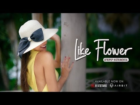 Like Flower - Afro beat Instrumental