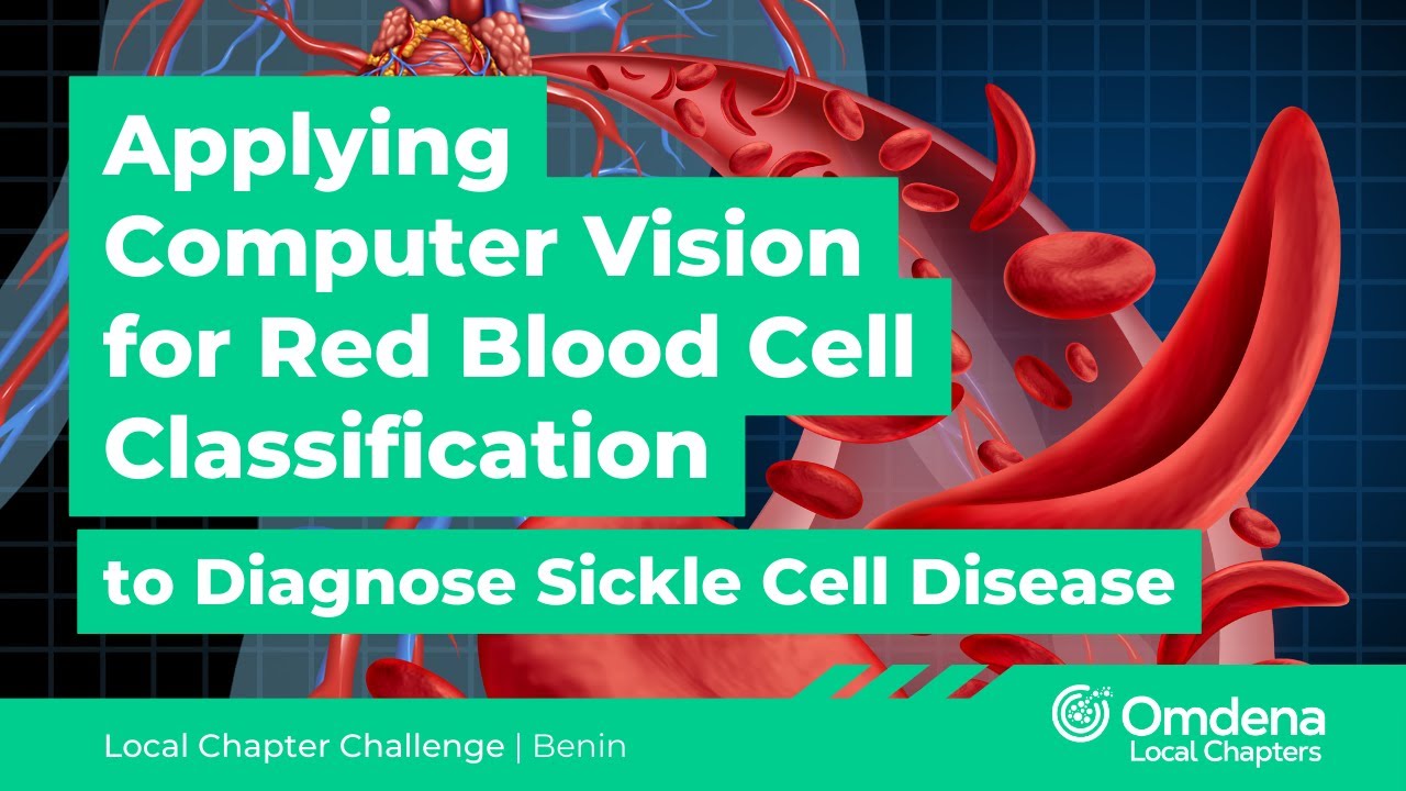 Applying Computer Vision for Red Blood Cell Classification to Diagnose ...