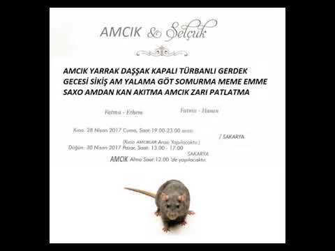 AMCIK DAŞŞAK EROTİK FAHİŞE HİKAYE KALTAK KAPALI ORUSBU PORNO SİKİŞ SOKUŞ SÜRTÜK TÜRBANLI YARRAK