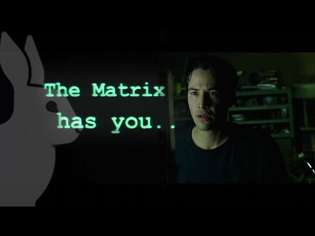 Follow The White Rabbit Matrix