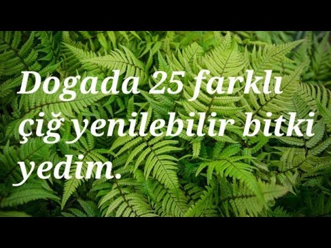 Çayırlarda taze yenilenen şifalı bitkiler.