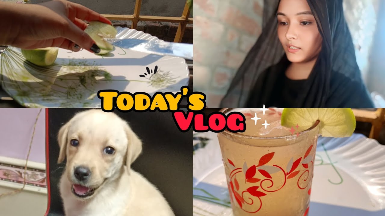 Today's vlog,, অনেকদিন পর ছোট্ট একটা ভিডিও, ️#banglavlog #vlog #shilpasadhu - YouTube