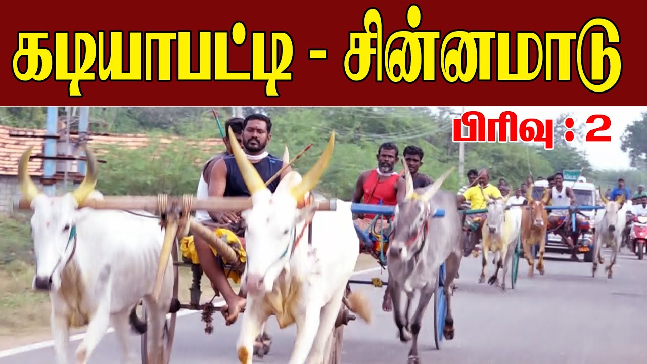 சின்னமாடு பிரிவு 2 கடியாபட்டி 17-01-2020 chinna madu part 2 kadiyaptti ...