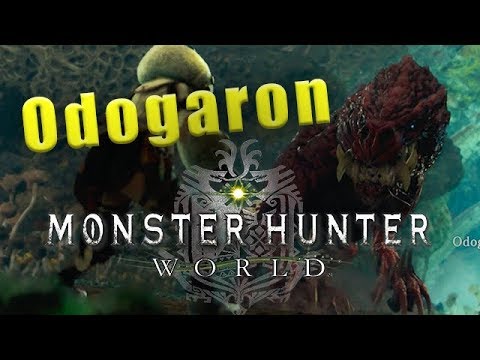 How to beat Odogaron Monster Hunter World walkthrough #18 - Odogaron ...