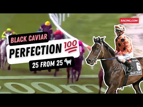 Black Caviar’s perfect 25 | EVERY win by the undefeated Queen of Racing