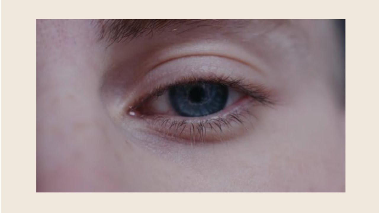 A Conversation With Bryn Taubensee & Patric DiCaprio for VAQUERA FW 24/ ...