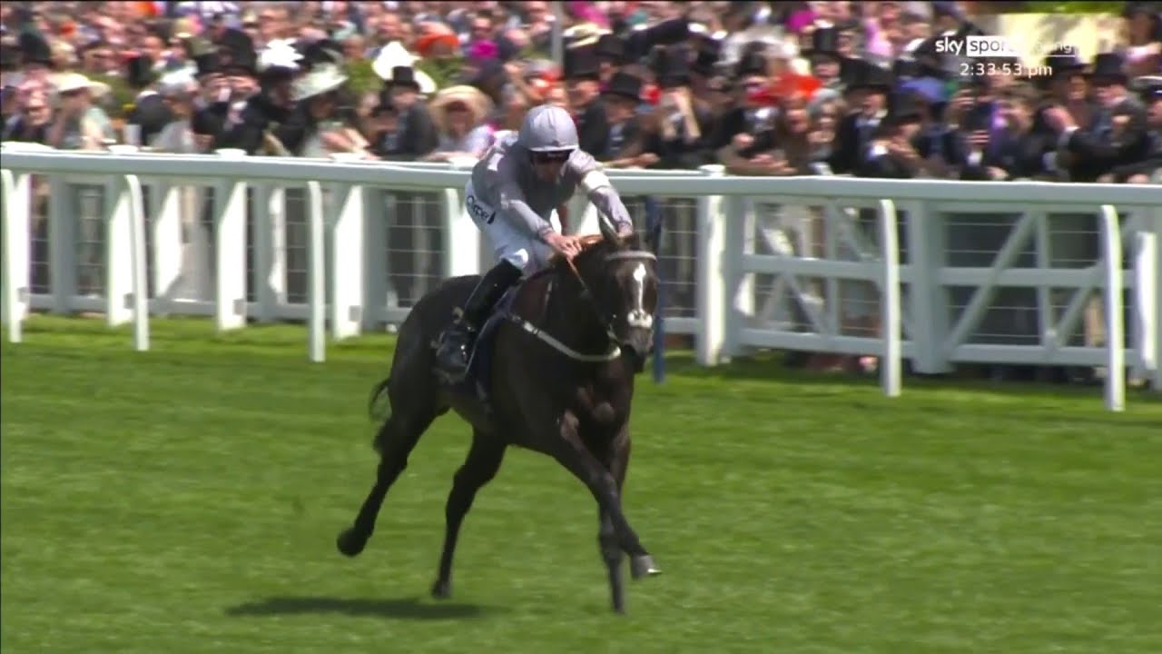 FAST FILLY! DRAMATISED is brilliant in the Queen Mary! - YouTube