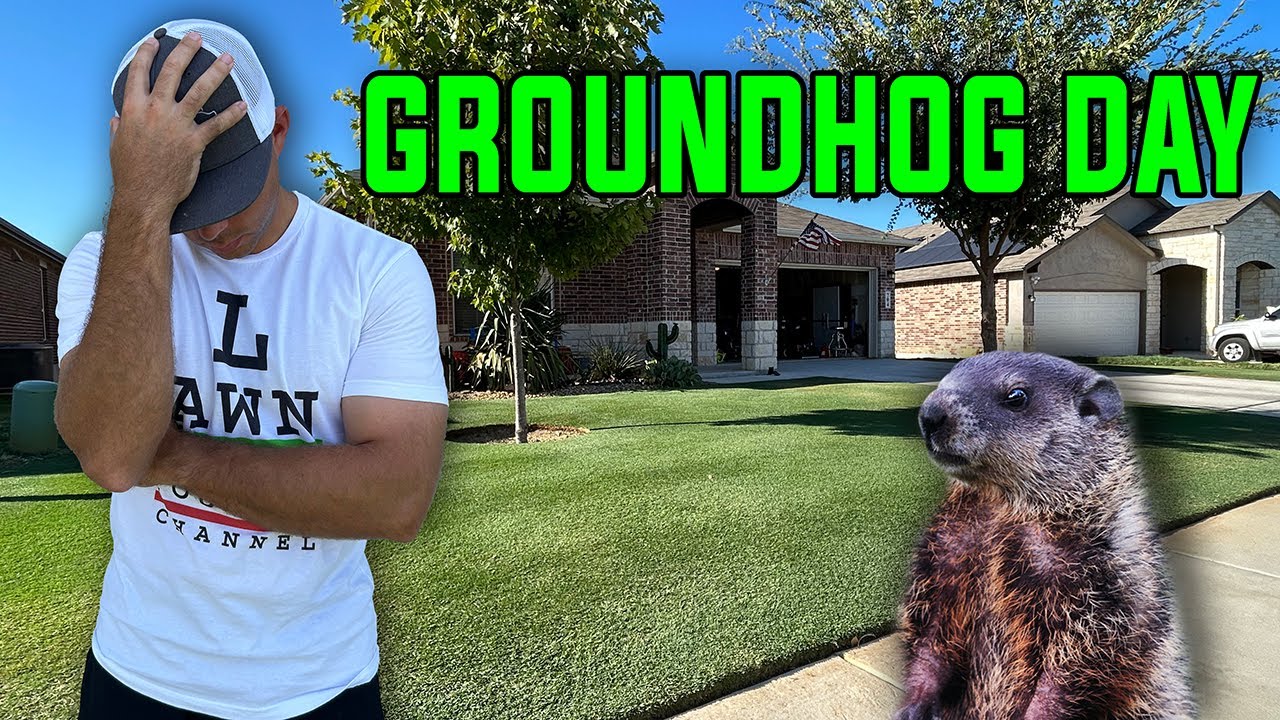 Groundhog Day in the Lawn | Non-Stop HEAT and DROUGHT - YouTube