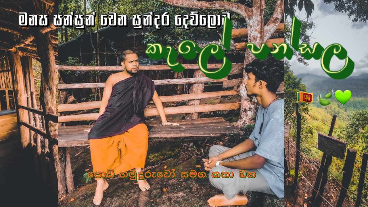 කැලේ පන්සල/kale pansala srilanka 💚🌸#clicknaween - YouTube