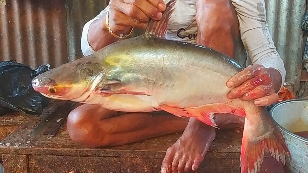 Mesmerizing Pangas Fish Cutting Techniques In Fish Market | Amazing ...