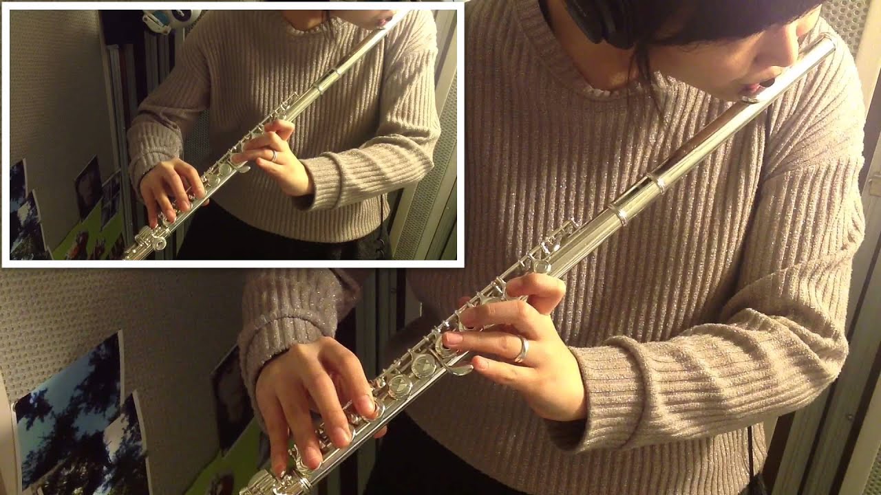 [Flute Tutorial] Falling slowly - Once ost - YouTube