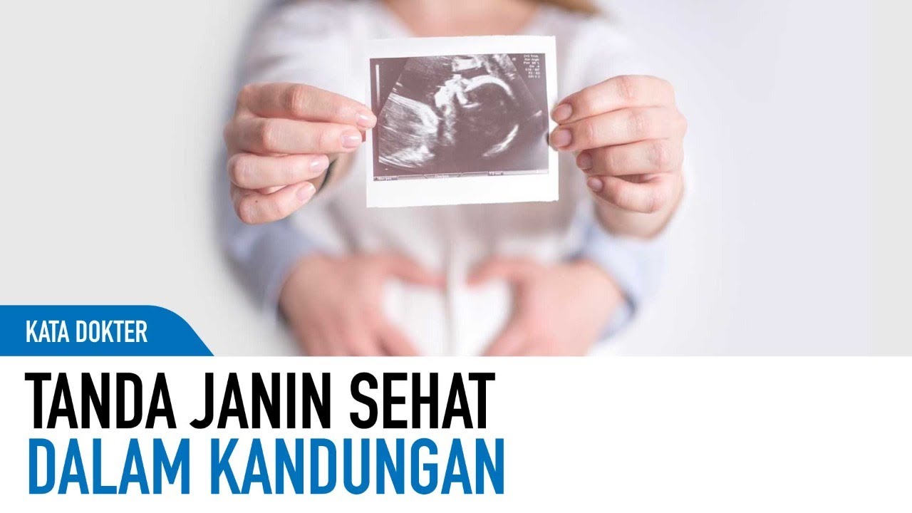 Ciri-Ciri Janin Sehat Di Dalam Kandungan | Kata Dokter - YouTube