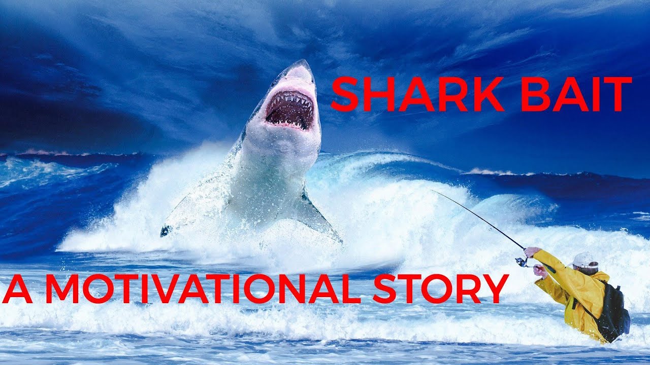 Shark Bait | Motivational Story | Inspirational story - YouTube