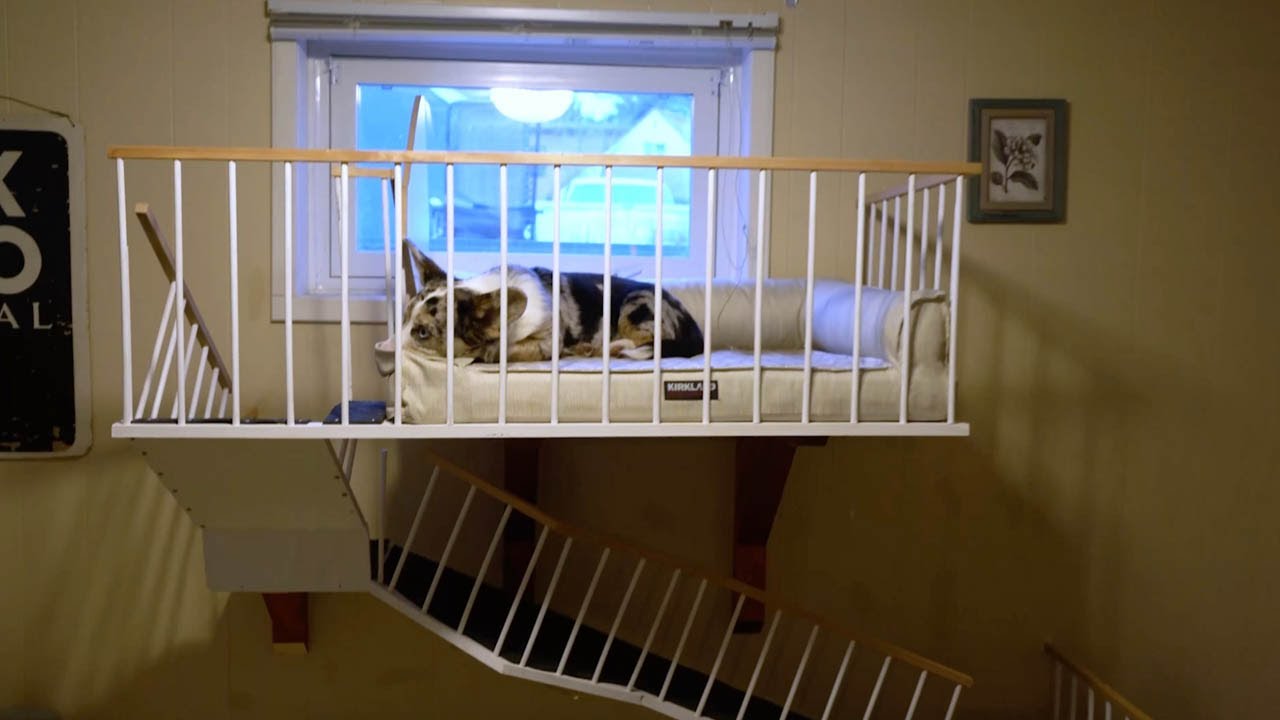 Guy Builds Mini Loft For His Dog - YouTube